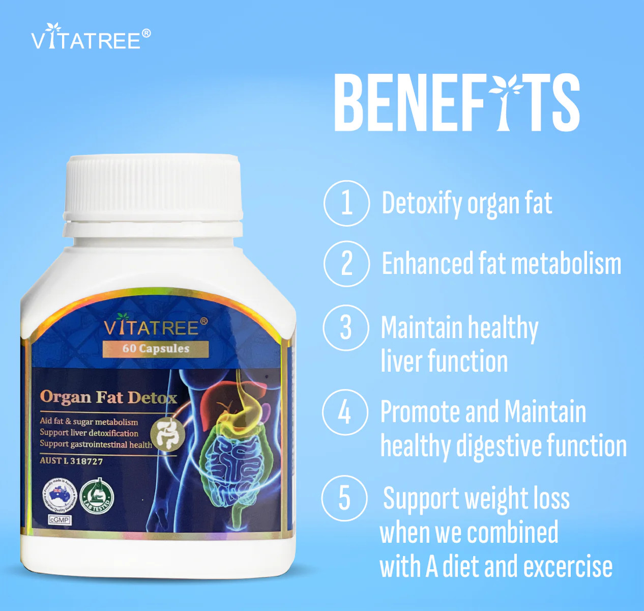 Viên uống hỗ trợ thải độc mỡ nội tạng Vitatree Organ Fat Detox 60 viên